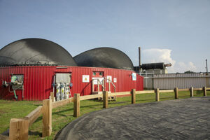 Sustainable Dairy Farming | DFA Milk