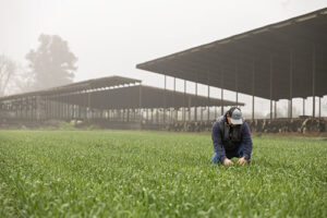 Sustainable Dairy Farming | DFA Milk